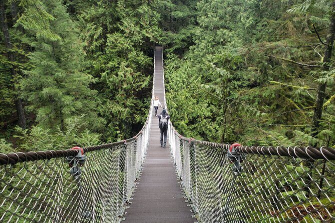 Photography in Rainforest & Suspension Bridge - An Introduction to the Lynn Canyon Photography Tour