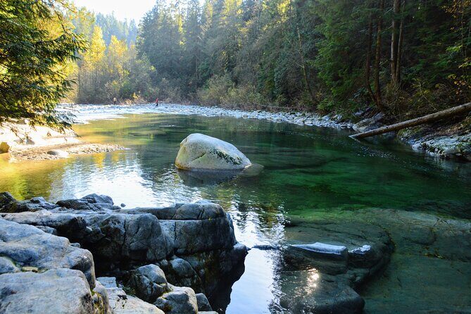 Photography in Rainforest & Suspension Bridge - The Scenery: Nature’s Hidden Gems