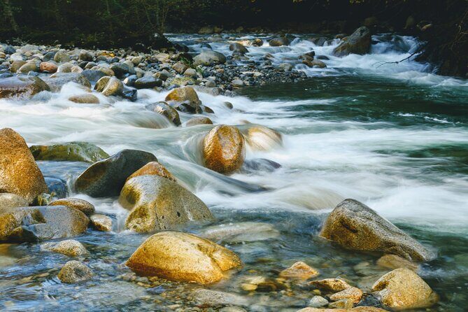 Photography in Rainforest & Suspension Bridge - FAQ