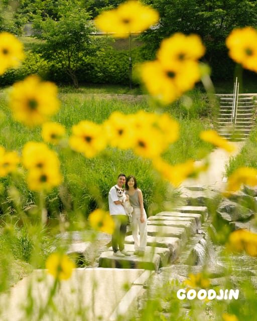 Photography: Personalized Seoul Snapshots - Who Will Love This Experience?