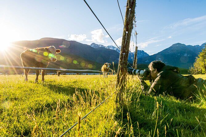Photography Tour from Queenstown to Glenorchy - 1/2 Day - Equipment and Photography Tips