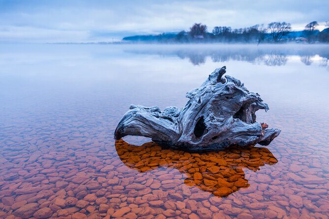 Photography Tour from Queenstown to Glenorchy - 1/2 Day - Flexibility and Personal Attention