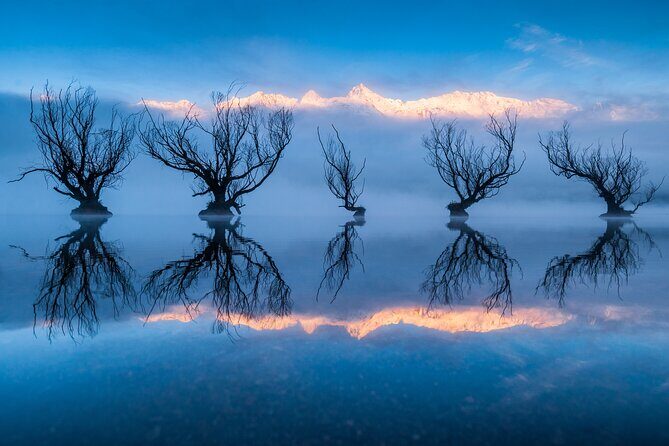 Photography Tour from Queenstown to Glenorchy - 1/2 Day - The Cost and Value