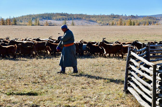 Photography & Tour services in Ulaanbaatar - Frequently Asked Questions