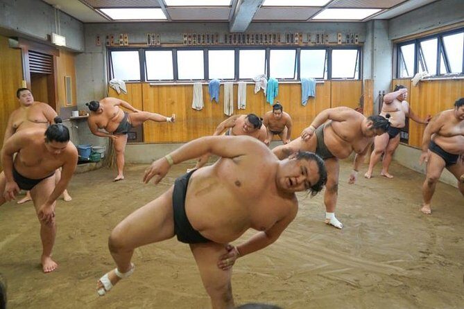 [Photos with Wrestlers] Exclusive Access to Sumo Morning Practice - The Practice Sessions – What to Expect