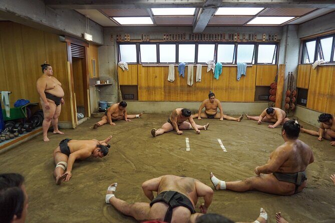 [Photos with Wrestlers] Exclusive Access to Sumo Morning Practice - Practical Tips for Participating