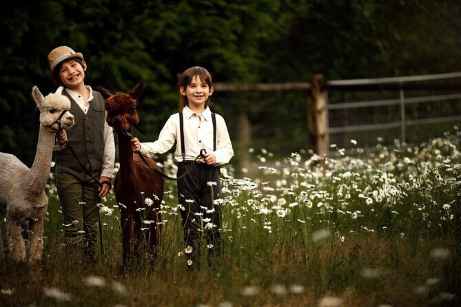 Photoshoot with Alpacas and Farm Experience near Seattle - The Experience in Detail