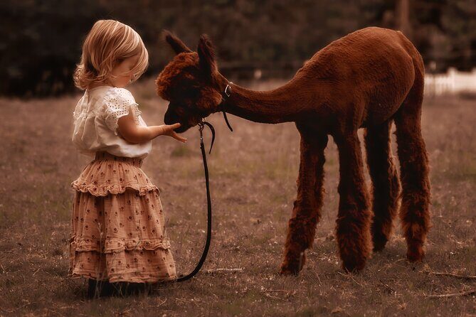 Photoshoot with Alpacas and Farm Experience near Seattle - Final Thoughts: Who Is This Tour Best For?