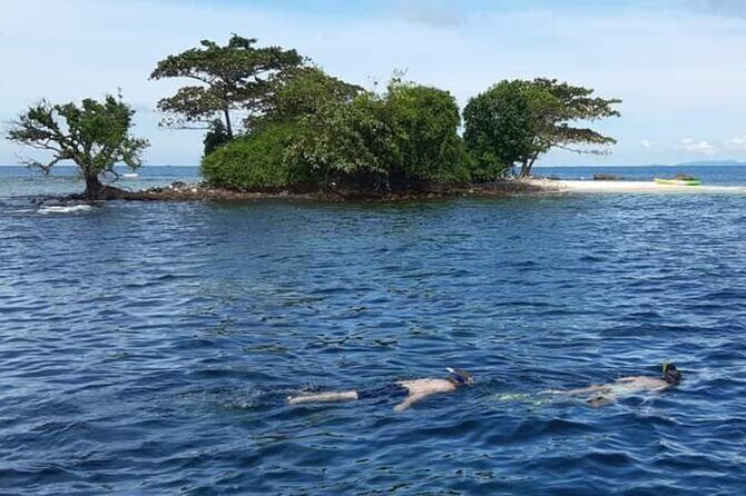 Phu Quoc 1Day Tour Diving with pro guide - Authentic Experiences and Traveler Perspectives