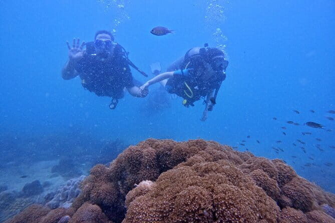 Phu Quoc Car Charter Rental - Who Will Benefit Most?