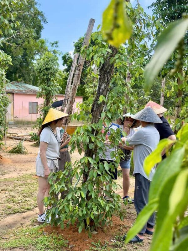 Phu Quoc: Classical Army Jeep Tour to North Island - Introducing the Phu Quoc: Classical Army Jeep Tour to North Island