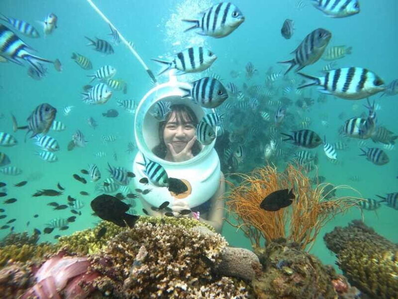 Phu Quoc: Explore 3 Islands & Sea Walker Ocean Explore Combo - Final Thoughts