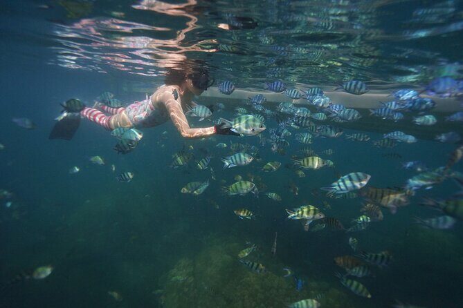 Phu Quoc Full-Day Canoe and Hon Thom Cable Ride - Value and Pricing