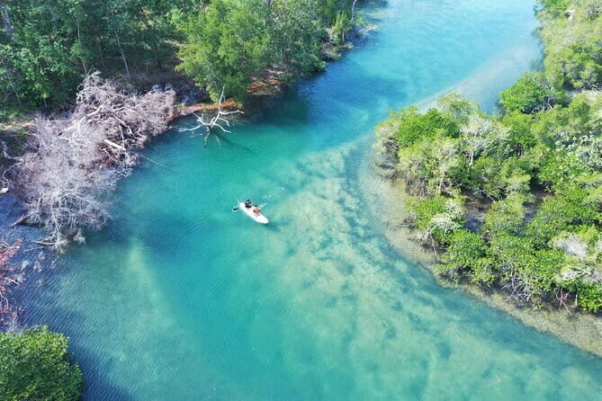 Phu Quoc Full Day Tour in Cua Can River - Final Thoughts: Who Will Love This Tour?