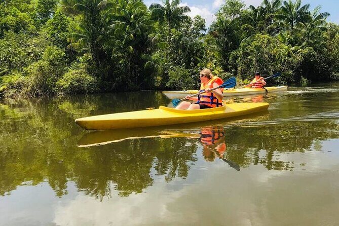 Phu Quoc Northern Discovery and River Kayaking Tour - Who Should Consider This Tour?