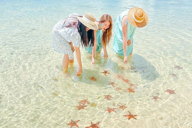 Phu Quoc Northern Escape Kayaking Adventure and Starfish Beach - Key Points