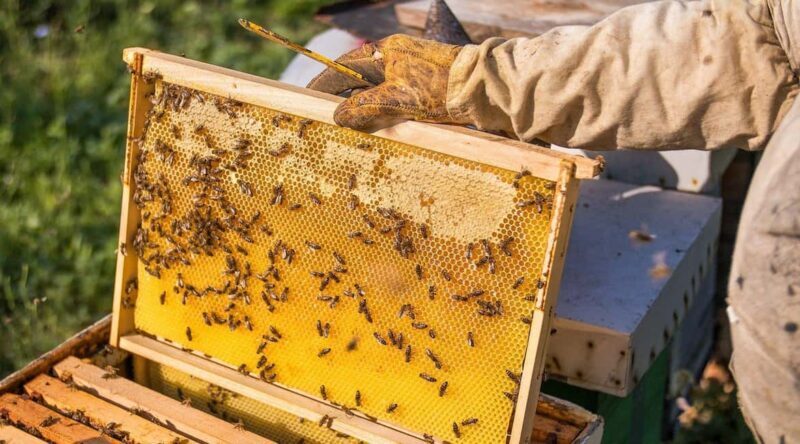 Phu Quoc: Private Half-Day City Tour with Hotel Pickup - An In-Depth Look at the Tour