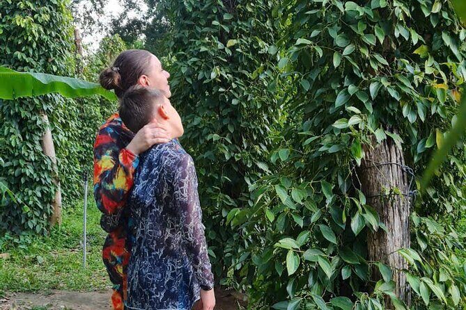 Phu Quoc Private Transfer Arrival & Departure - Real Traveler Feedback and Insights