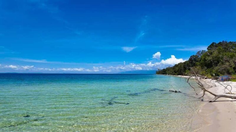 Phu Quoc: Rach Vem Starfish Kingdom & Cooking Experience - The Experience Reviews: What Travelers Say