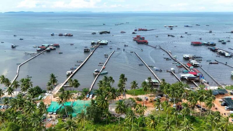 Phu Quoc: Rach Vem Starfish Kingdom & Cooking Experience - Who Would Love This Tour?