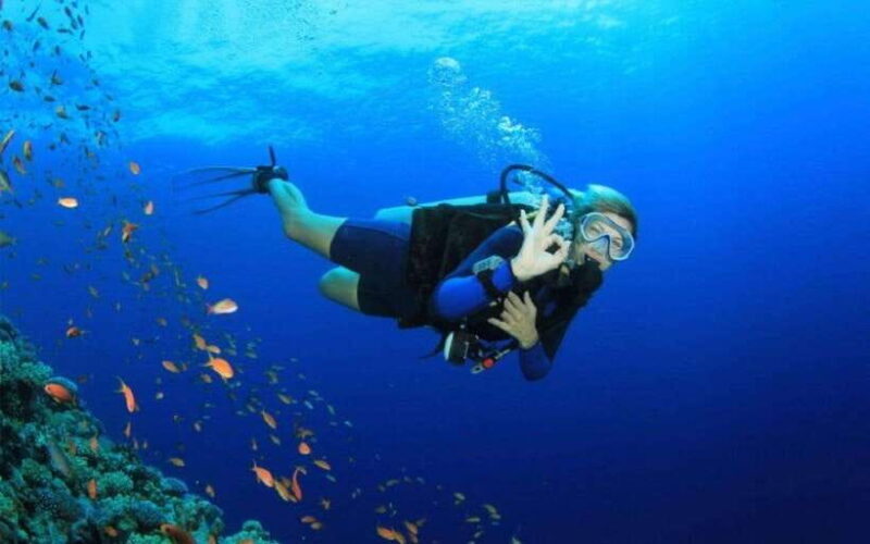 Phu Quoc : Scuba Diving and Parasailing at Roi Island - Why Choose This Tour?