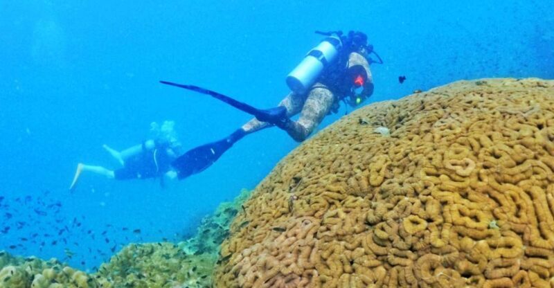 Phu Quoc: Scuba Diving Experience for All Levels - A Genuine Look at the Phu Quoc Scuba Tour