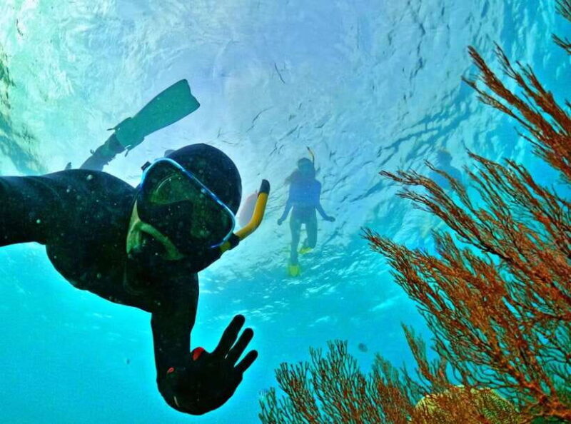 Phu Quoc Small-group Snorkeling to the Coral Jungle Reef - An Authentic Look at the Coral Jungle Reef Snorkeling Tour