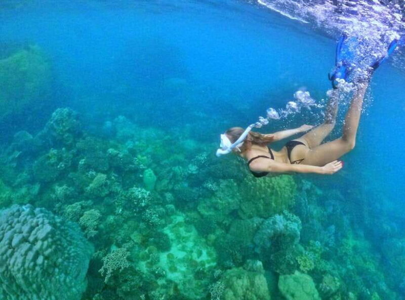 Phu Quoc Small-group Snorkeling to the Coral Jungle Reef - FAQs