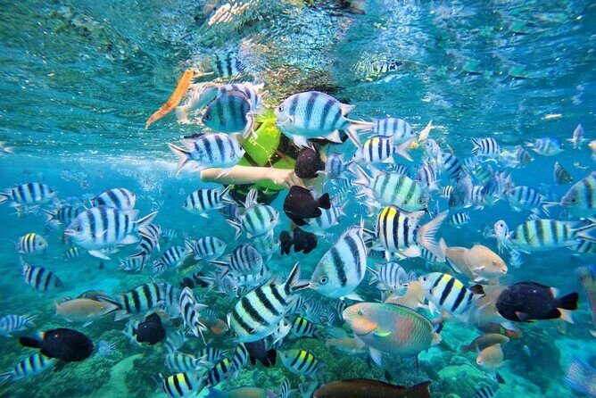 Phu Quoc Snorkeling 3 Islands by Boat Full Day Tour - Who Is This Tour Best For?