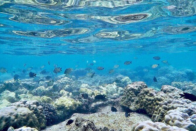 Phu Quoc Snorkeling and fishing to the North full day tour - Phu Quoc Snorkeling and Fishing to the North Full Day Tour: An Authentic Island Experience