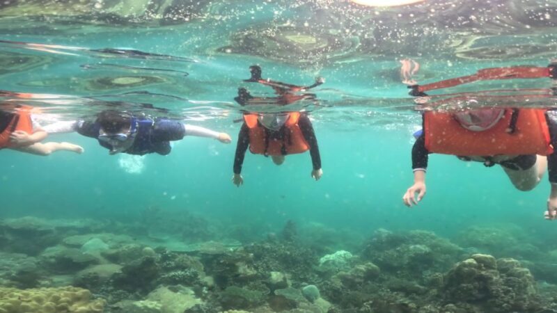 Phu Quoc: Snorkeling discover Southern, Northern Coral Reefs - Final Thoughts