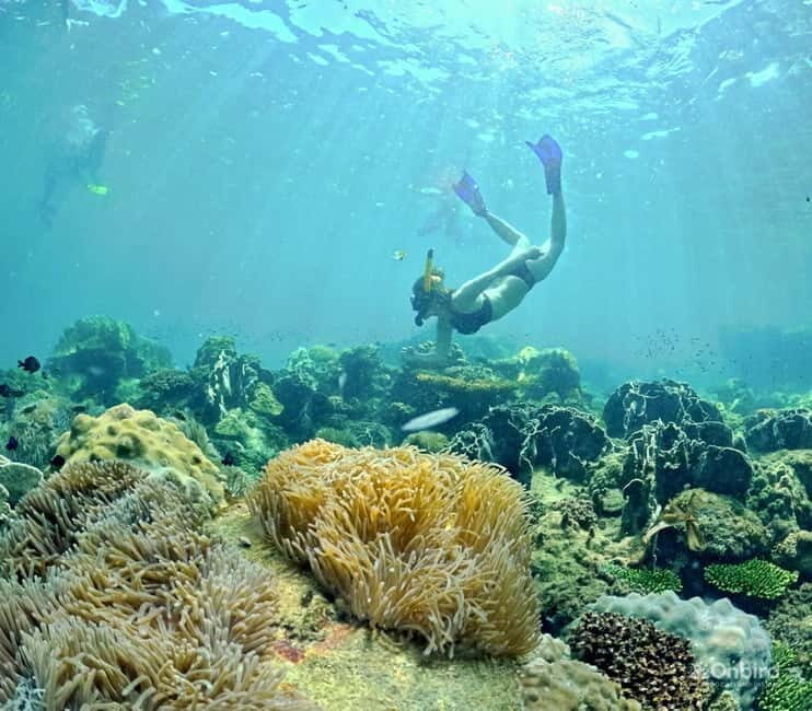 Phu Quoc Speedboat Pro Snorkeling: 4 Islands-2 Reefs & Meal - Key Points