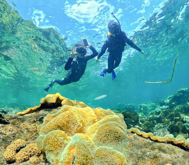 Phu Quoc Speedboat Pro Snorkeling: 4 Islands-2 Reefs & Meal - Why Choose This Tour: In-Depth Review