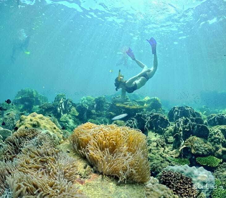 Phu Quoc Speedboat Pro Snorkeling: 4 Islands-2 Reefs & Meal - FAQs