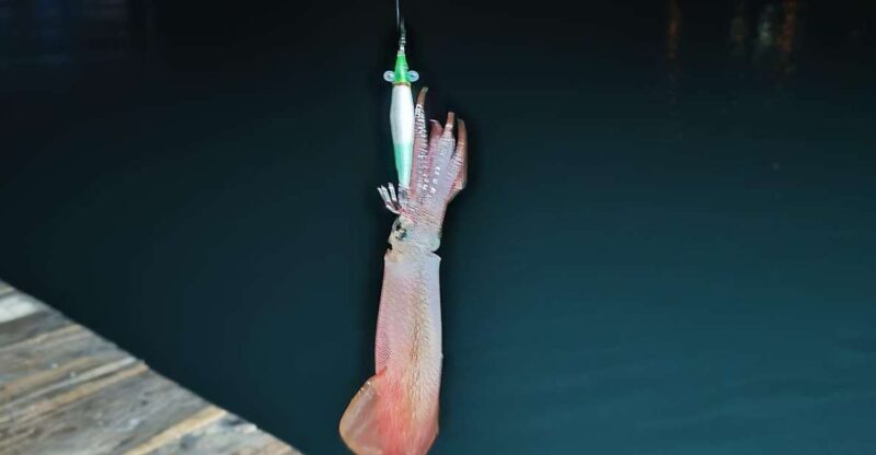 Phu Quoc: Squid Fishing Tour with sunset views & dinner - An In-Depth Look at the Tour Experience