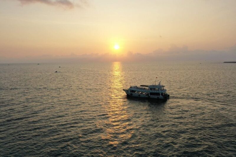 Phu Quoc: Squid Fishing Tour with sunset views & dinner - Someone This Tour Is Perfect For