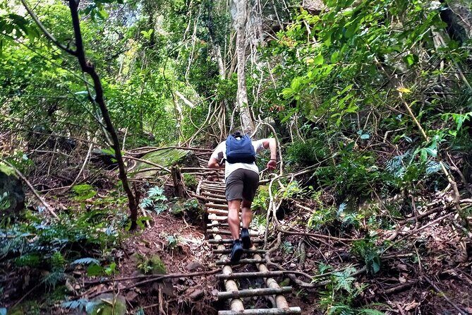 Phu Quoc Tien Son Dinh Full Day Trekking Tour - The Guides: What Sets Them Apart?