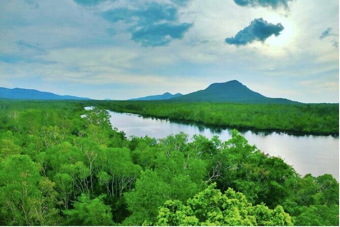 Phu Quoc Trekking and Saddle Up Board in Rach Tram River - What Travelers Say