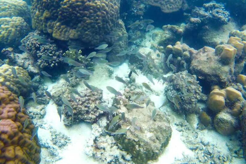 PHU QUOC TRIP 2: 2 ISLANDS BY BOAT - Frequently Asked Questions