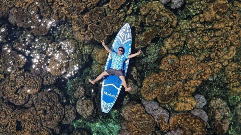 Phu Quy Stand-Up Paddle Boarding And Snorkeling Day Tour - An Insightful Journey into Phu Quys Marine Environment