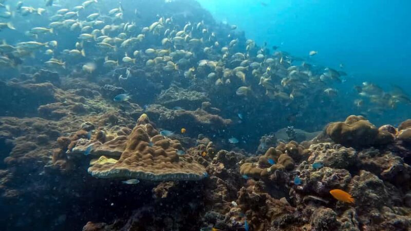 Phuket: 3 Day PADI Open Water Scuba Course with Boat Trip - Final Thoughts