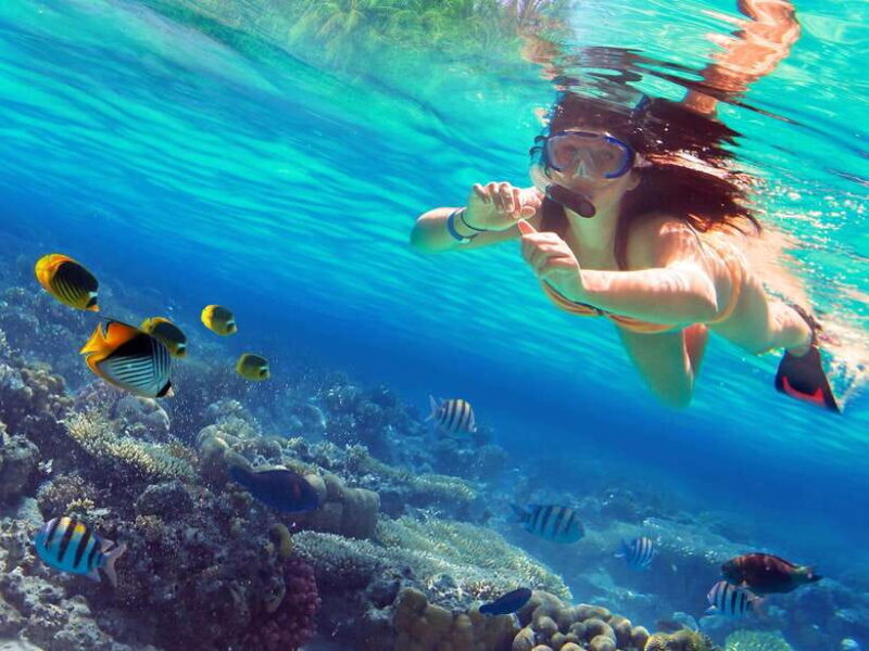 Phuket: 3 Khai Islands Snorkeling and Relaxation Tour - An Inside Look at the Tour Experience