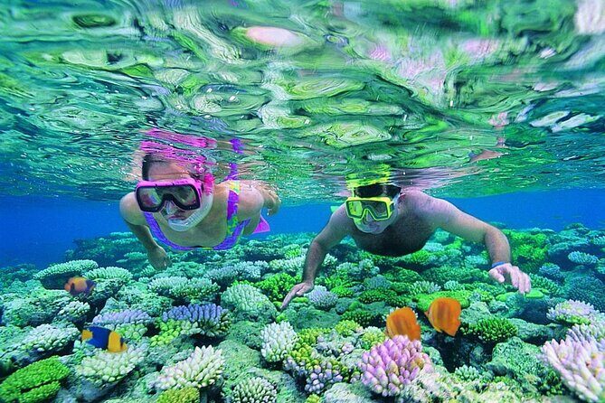 Phuket - 3 Phi Phi Islands 7 Sports Snorkeling Full-Day Trip by Speed Boat - Practical Tips & What To Expect