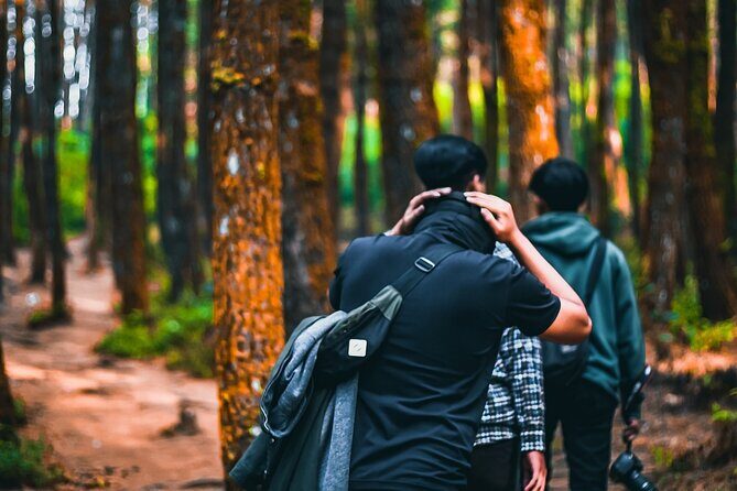 Phuket Adventure Quest: Khao Phra Thaeo Trek - Key Points