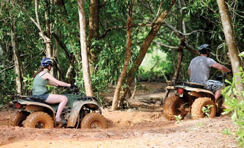 Phuket: ATV Mangrove Jungle & Hidden Beach Tour - Key Points
