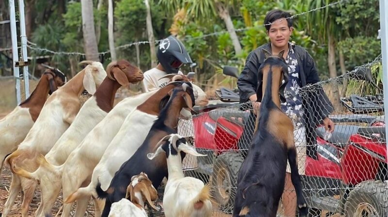 Phuket: ATV Ride with Secret Sea Viewpoints and Swing - FAQ