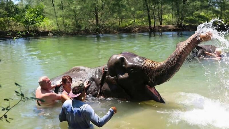 Phuket: Bamboo & Water Rafting with Elephant Bathing - Bamboo Rafting: Gentle yet Stunning