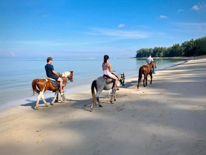 Phuket Beach Horseback Adventure - What Makes This Tour a Great Value?