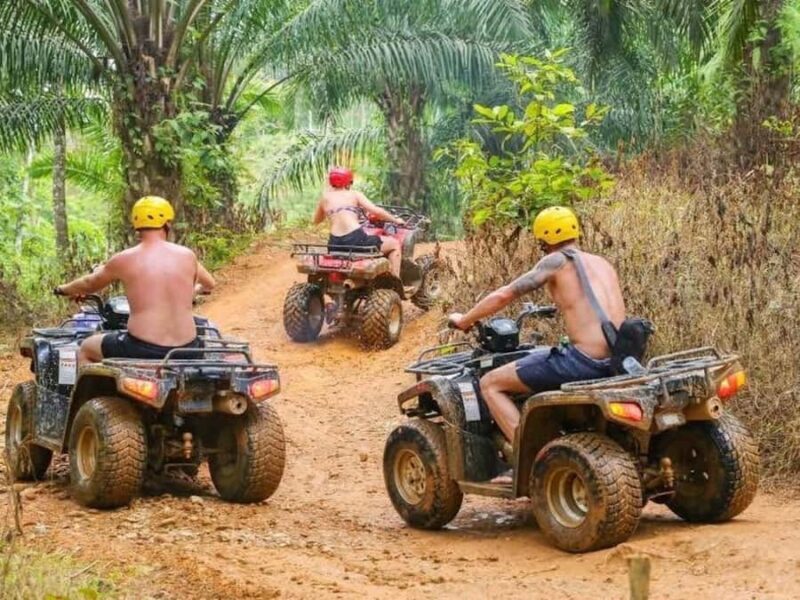 Phuket: Bird Park, Elephant Feeding, ATV Ride & City Tour - An Overview of the Tour