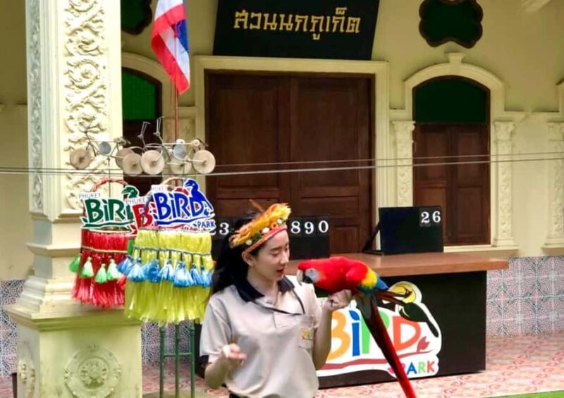 Phuket: Bird Park, Elephant Feeding, ATV Ride & City Tour - Practical Details and Logistics